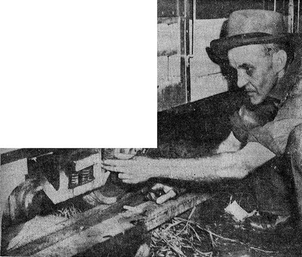 Trains (amusement park attractions) | GOTL Summer Fun Heritage Trail